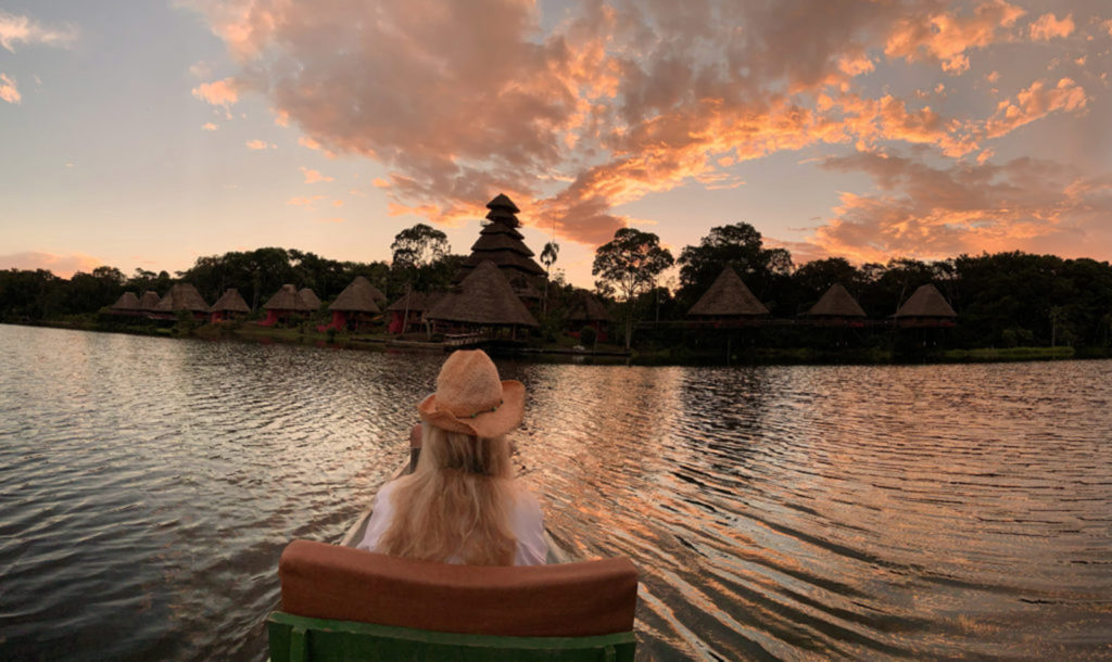 Exploring the Amazon Rainforest: A South American Safari - Travel Stories